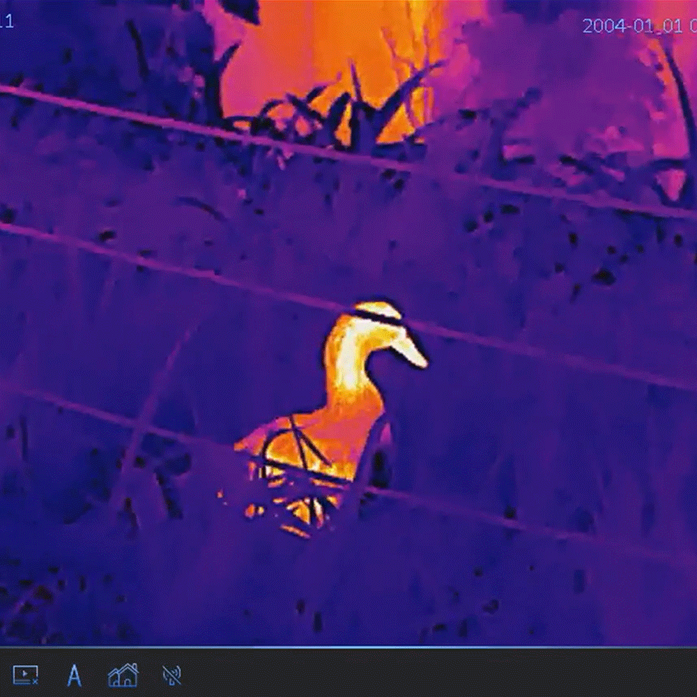 How Thermal Scopes Work: A Comprehensive Guide - AirSeeker
